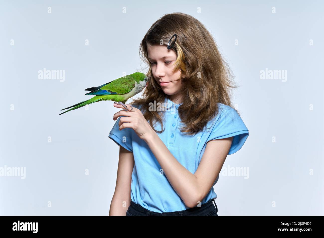 Child girl with green quaker parrot looking at pet on light studio ...