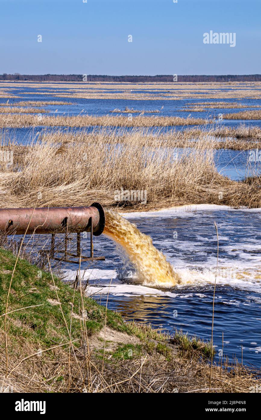 Spring landscape. Water flows from a pipe into a lake overgrown with ...