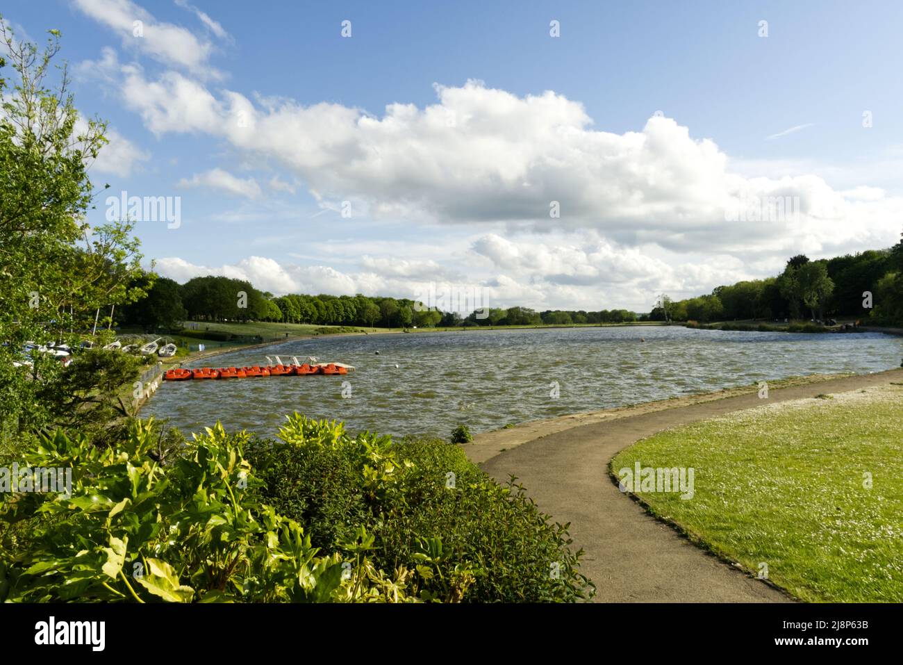 Lake Views in Stevenage Hertfordshire Stock Photo - Alamy