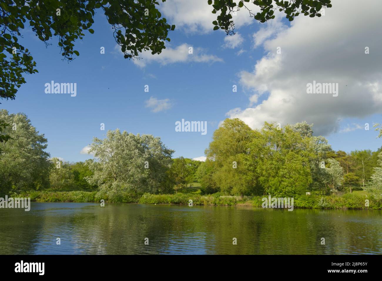 Lake Views in Stevenage Hertfordshire Stock Photo - Alamy