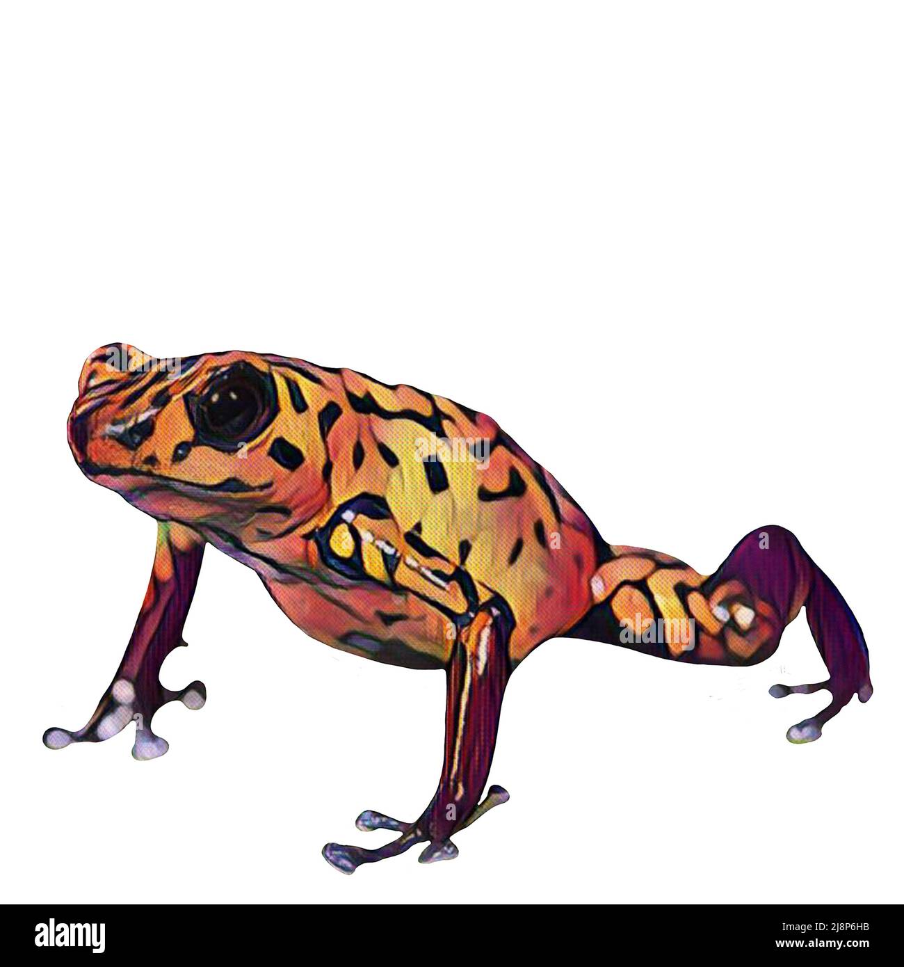 Easy to cut, hand drawn frog on a white background for your creativity ...