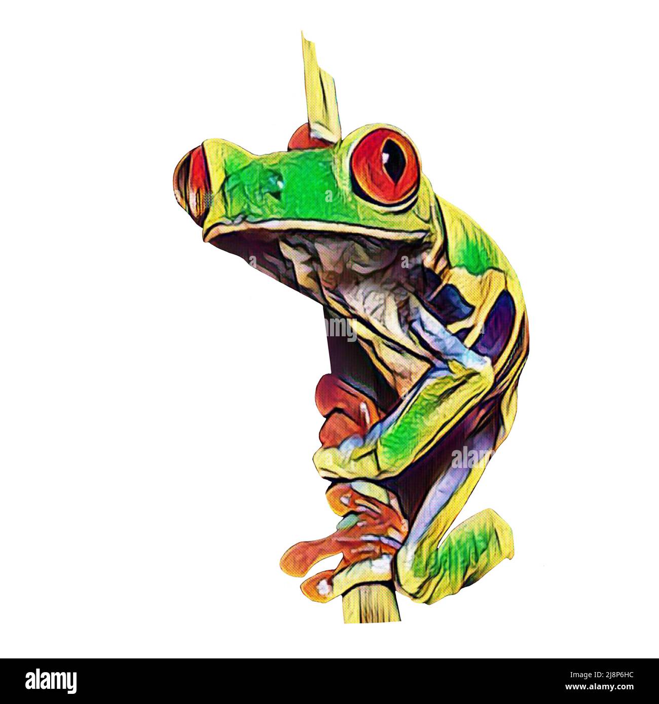 Easy to cut, hand drawn frog on a white background for your creativity ...
