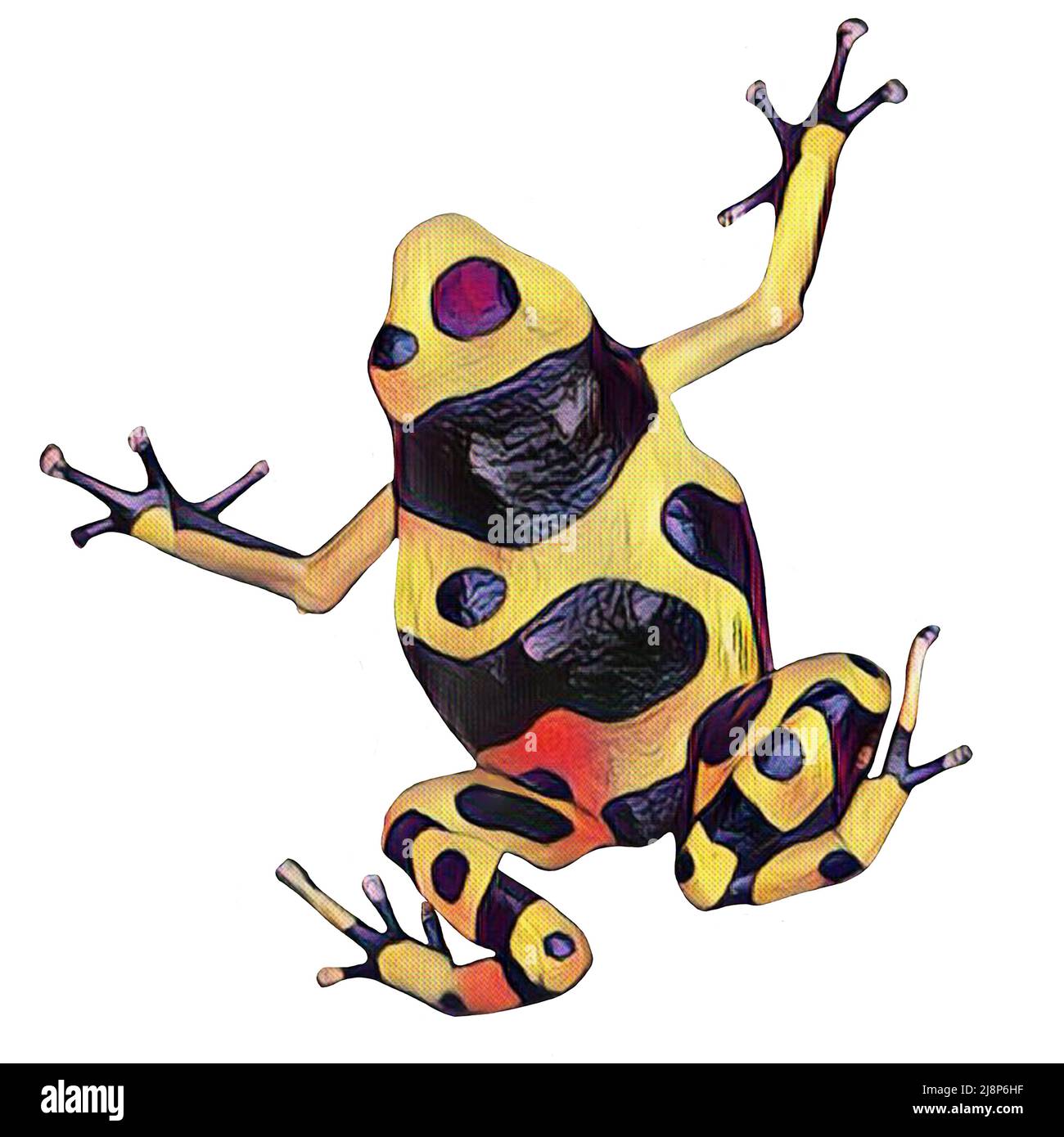 Easy to cut, hand drawn frog on a white background for your creativity ...