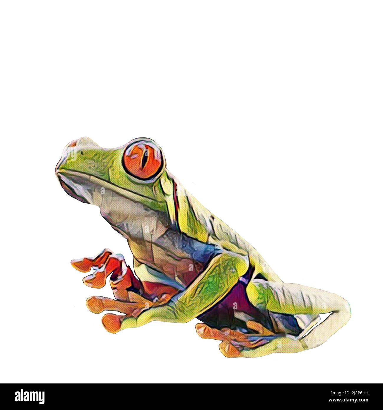 Easy to cut, hand drawn frog on a white background for your creativity ...