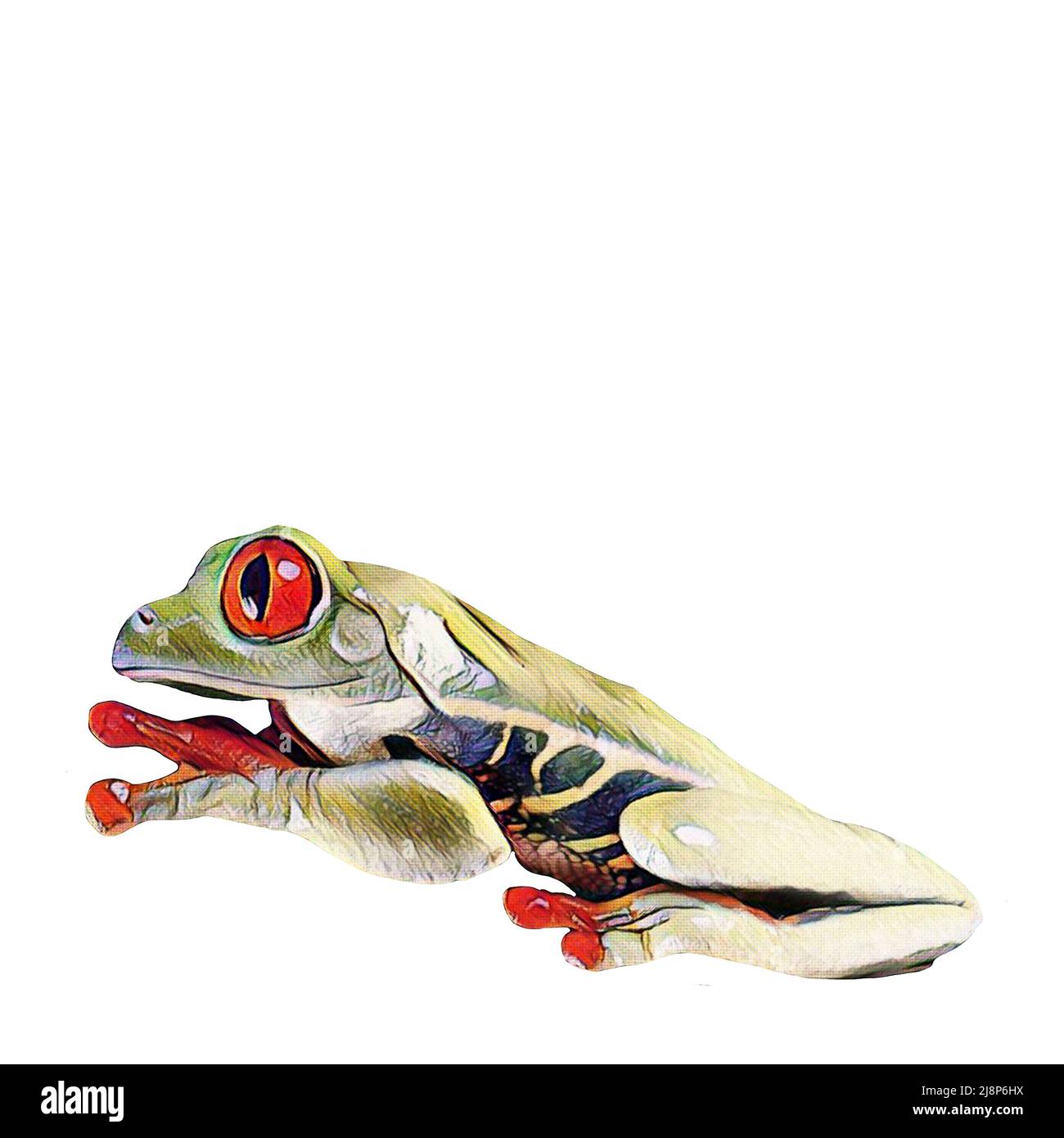 Easy to cut, hand drawn frog on a white background for your creativity ...