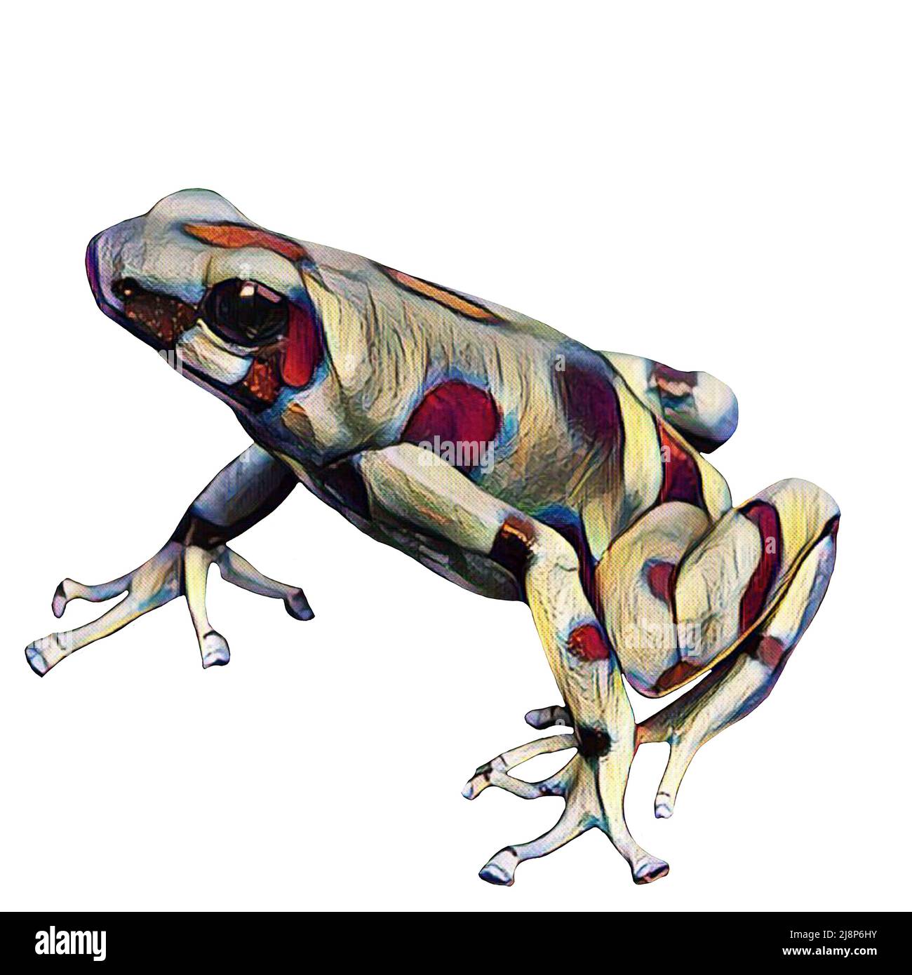 Easy to cut, hand drawn frog on a white background for your creativity ...