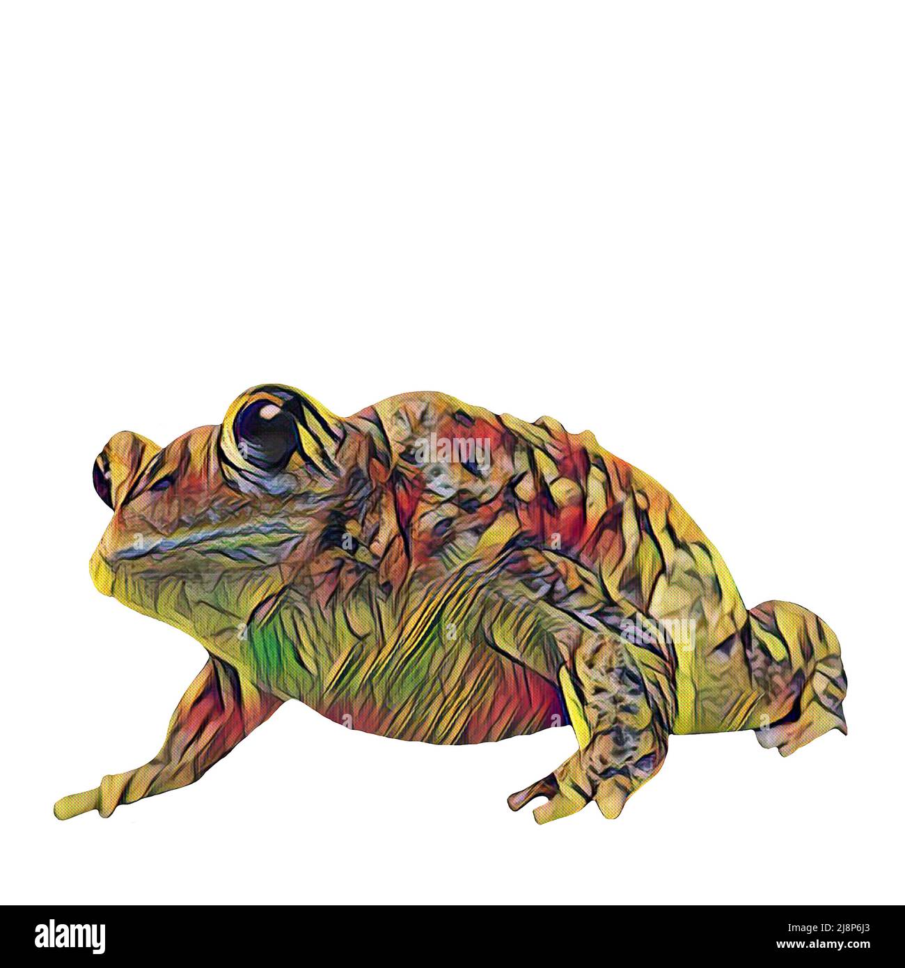 Easy to cut, hand drawn frog on a white background for your creativity ...