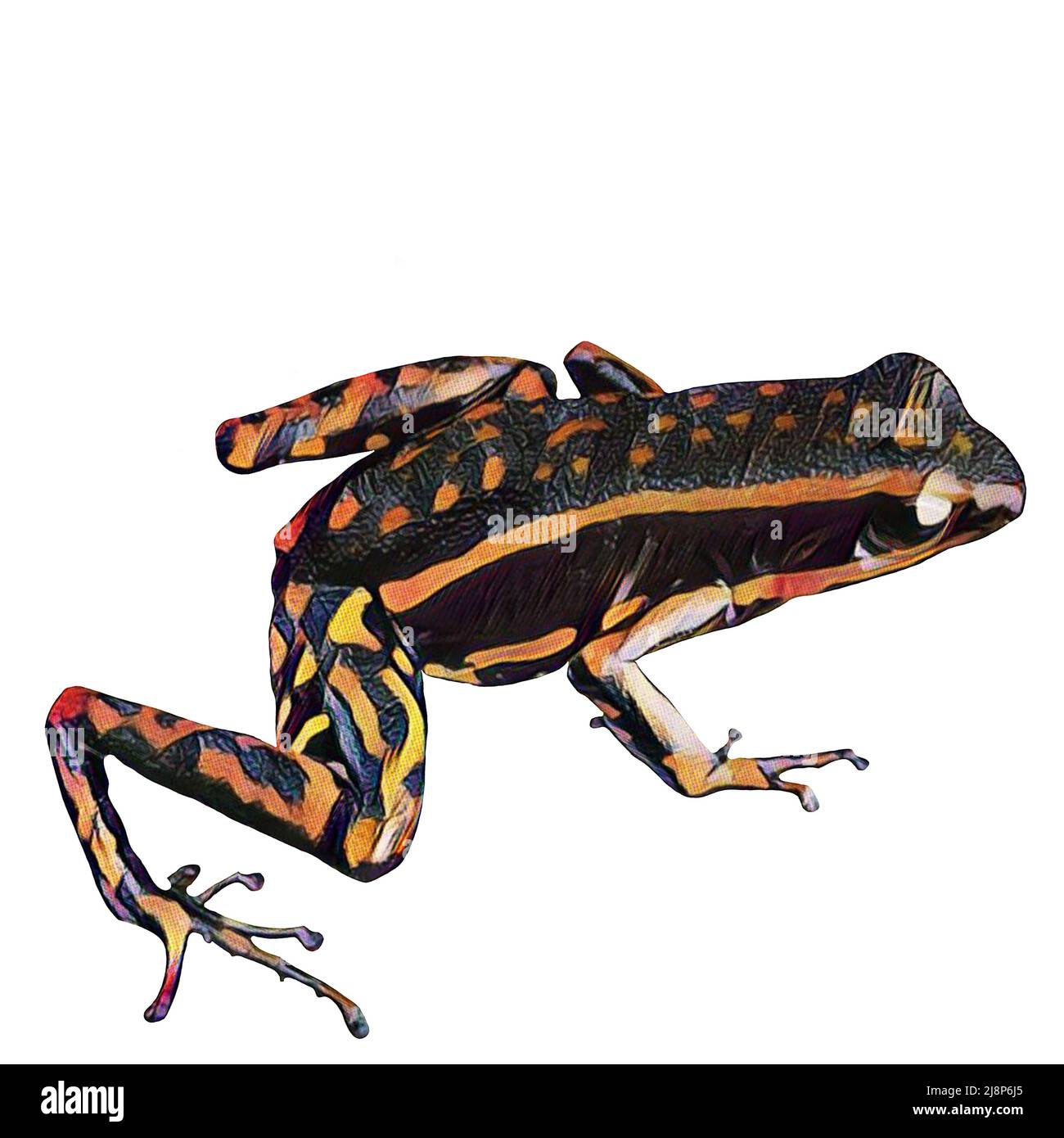 Easy to cut, hand drawn frog on a white background for your creativity ...