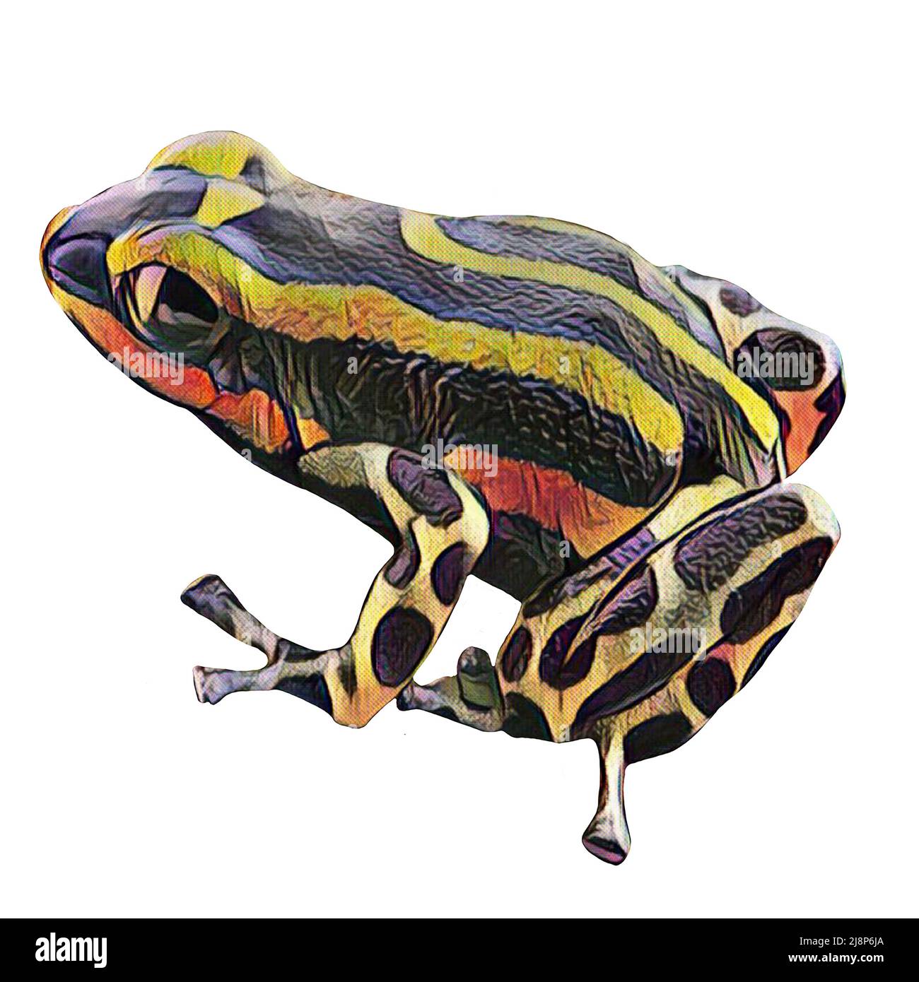 Easy to cut, hand drawn frog on a white background for your creativity ...