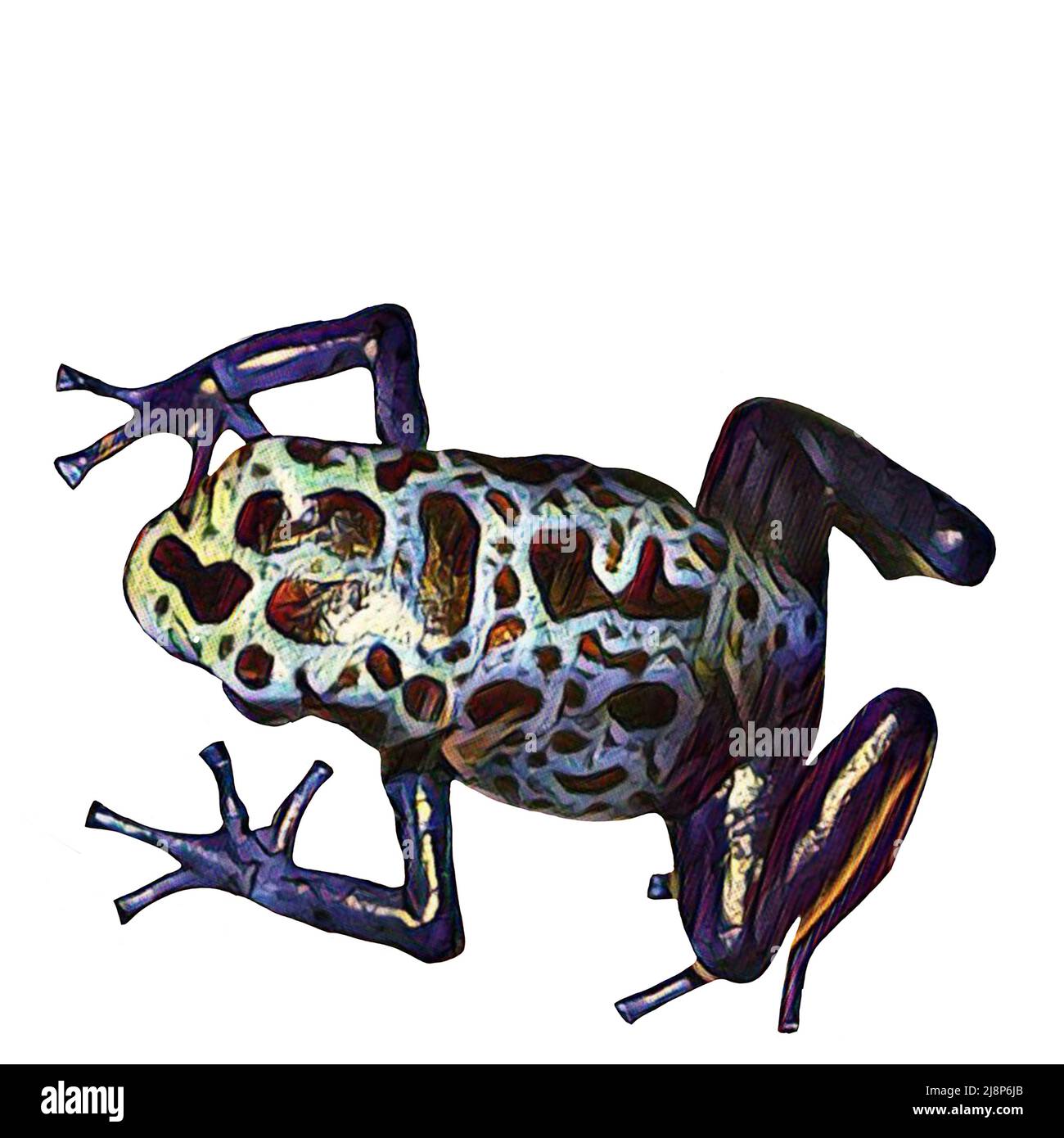 Easy to cut, hand drawn frog on a white background for your creativity ...