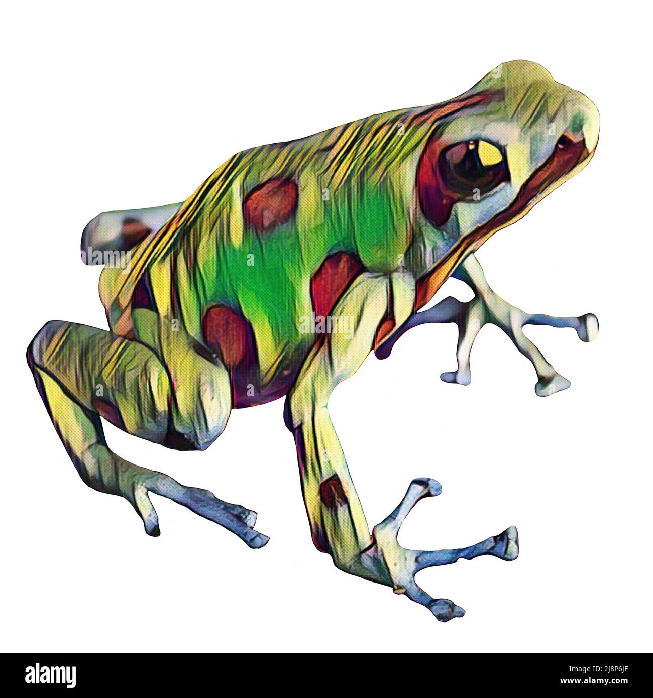 Easy to cut, hand drawn frog on a white background for your creativity ...