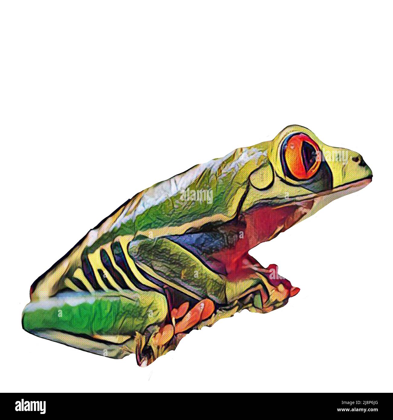 Easy to cut, hand drawn frog on a white background for your creativity ...