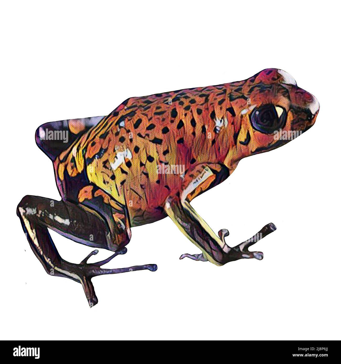 Easy to cut, hand drawn frog on a white background for your creativity ...