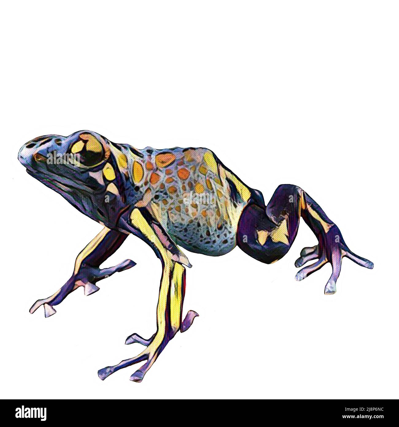 Easy to cut, hand drawn frog on a white background for your creativity ...