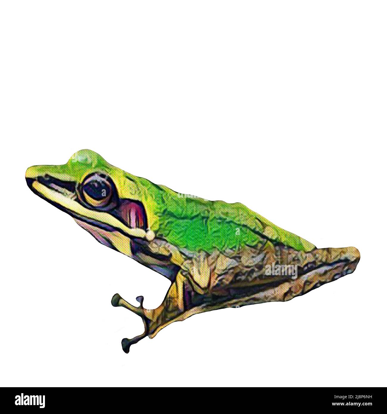 Easy to cut, hand drawn frog on a white background for your creativity ...