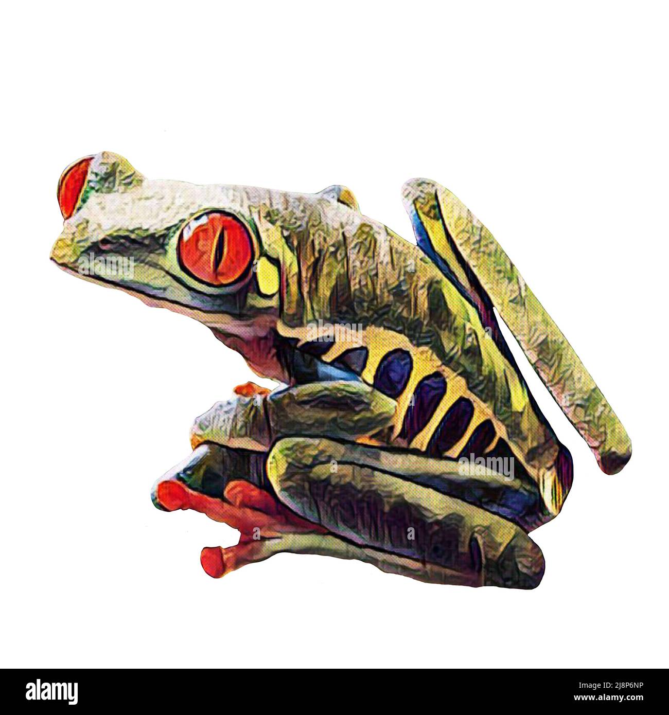 Easy to cut, hand drawn frog on a white background for your creativity ...