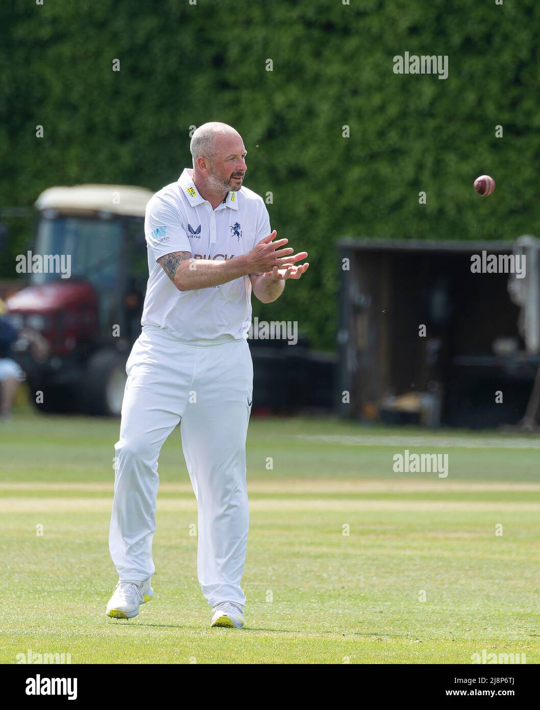 Kent cricketer Darren Stevens catching the cricket ball Stock Photo - Alamy