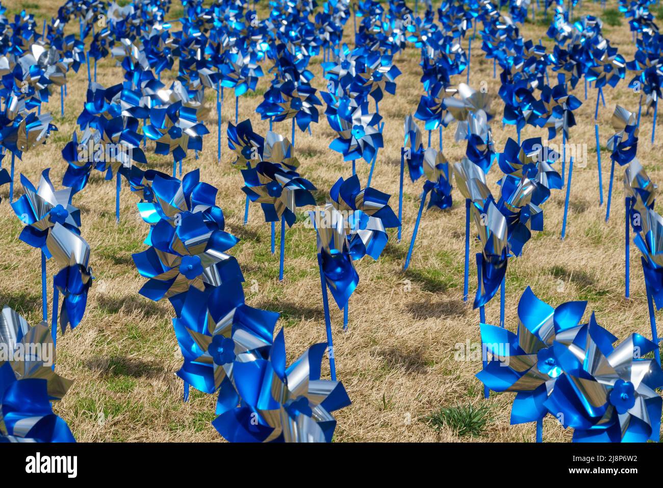 Field full of blue and silver pinwheels planted in the ground Stock ...