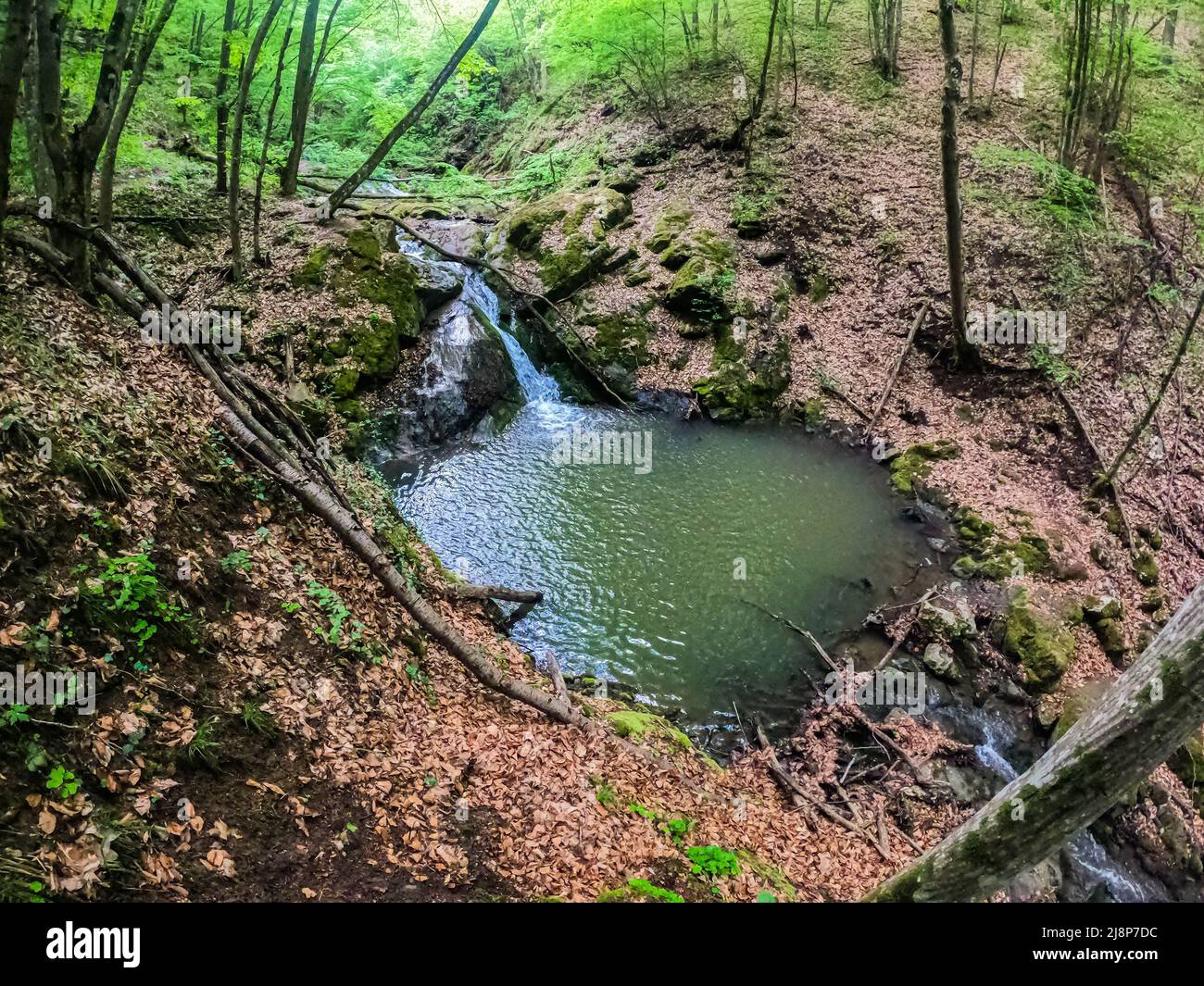 Water in middle of forest. Stream Flowing Through Rocks In Forest Stock ...