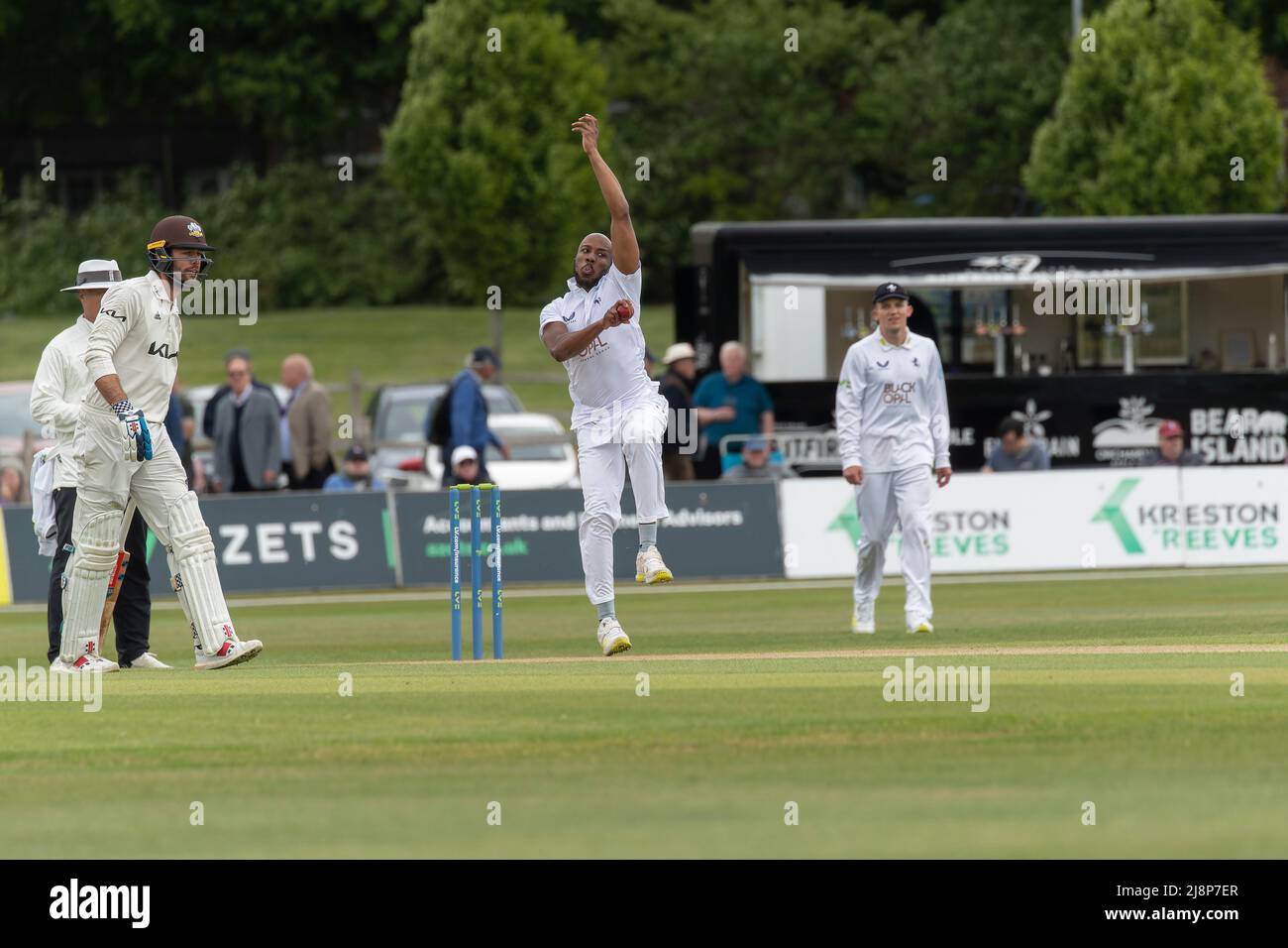 Bell cricket hi-res stock photography and images - Alamy