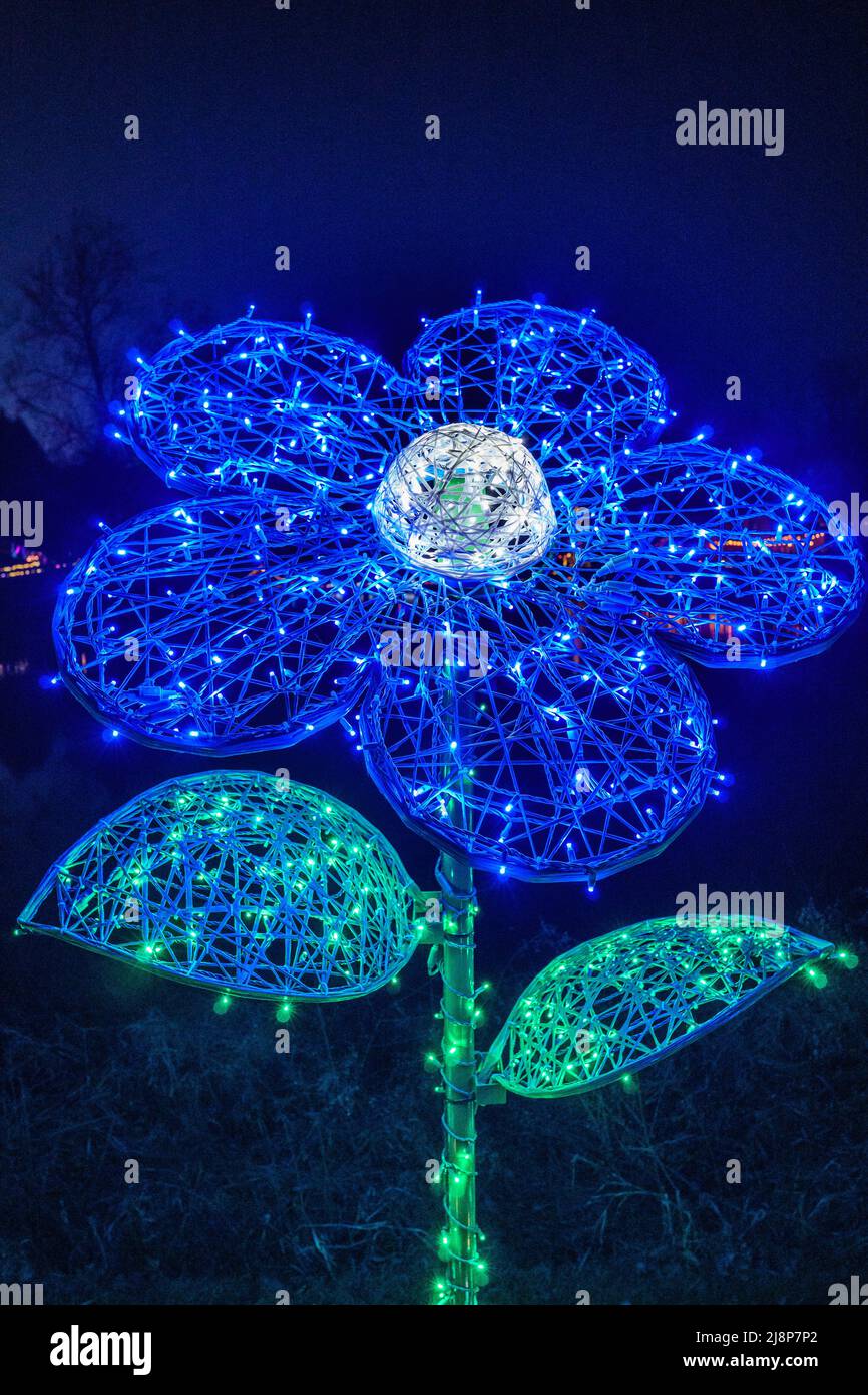 Big blue electric flower light decoration with green leaves, glowing in ...