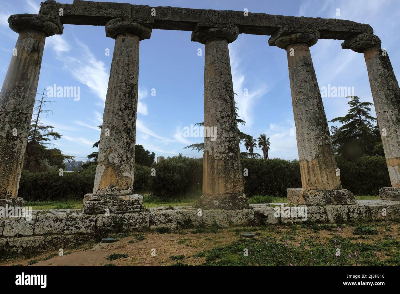 The Palatine Tables are the remains of the Greek temple dedicated to ...