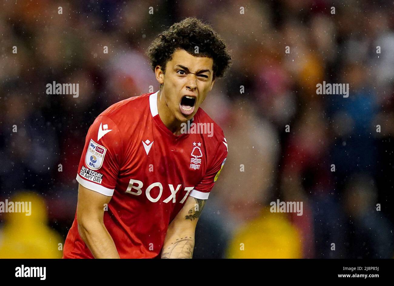 Nottingham Forest's Brennan Johnson celebrates after scoring in the ...