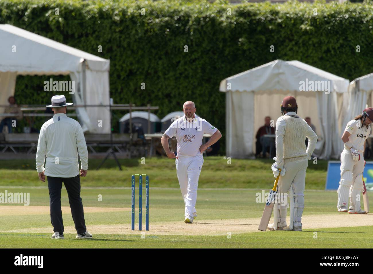 Kent cricketer Darren Stevens bowling against Surrey Stock Photo - Alamy