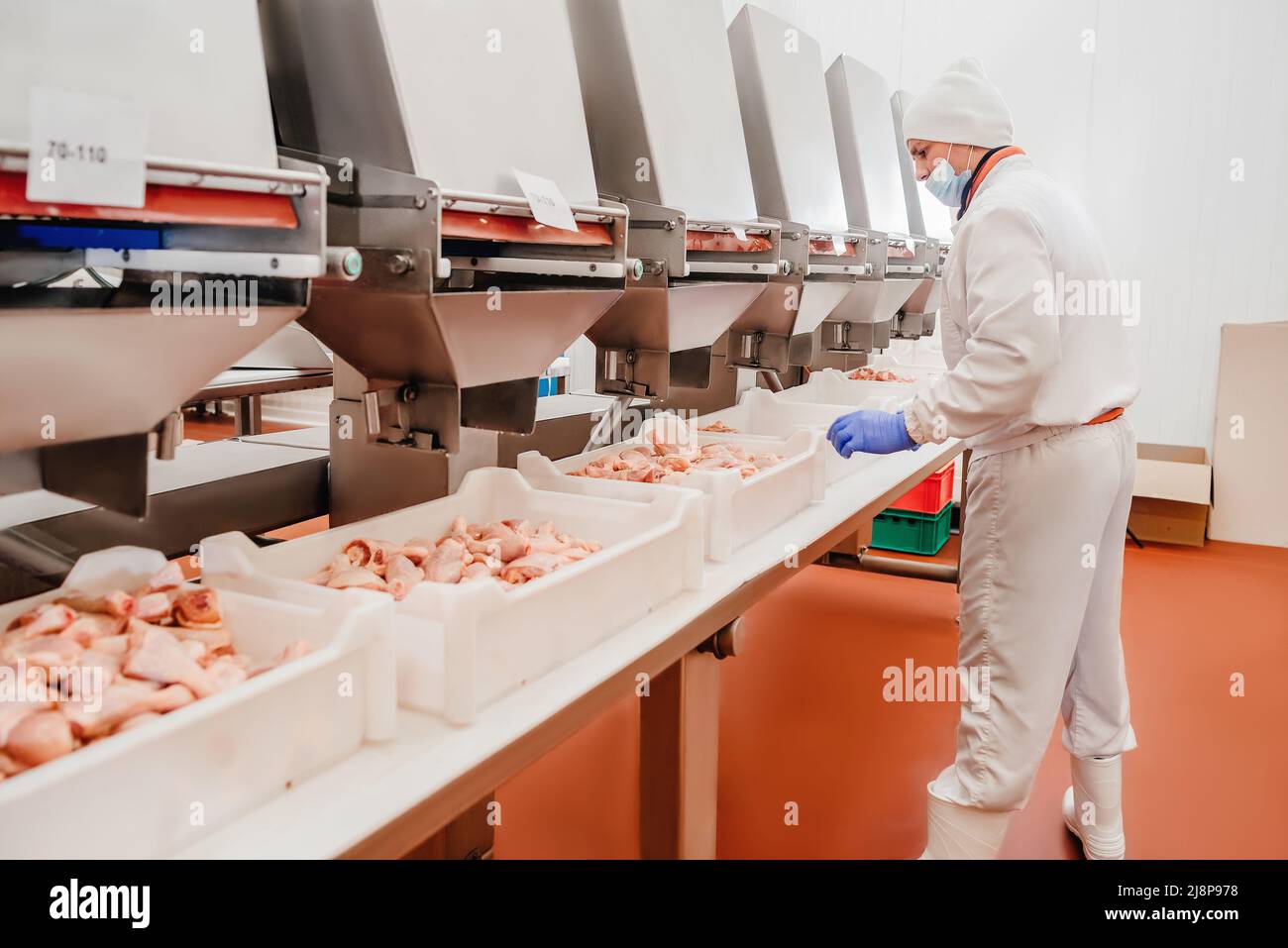 Manufacturing process.Conveyor Belt Food.Automated production line in ...