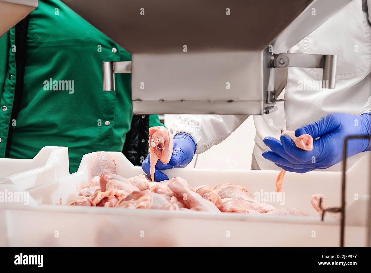 Manufacturing process.Conveyor Belt Food.Automated production line in ...