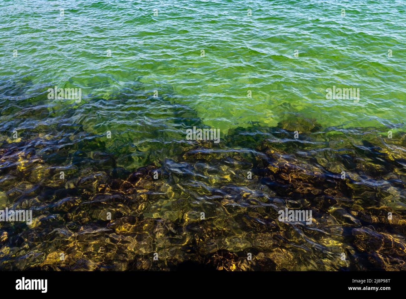 Calm seashore with rocks seen through the green sea water Stock Photo ...