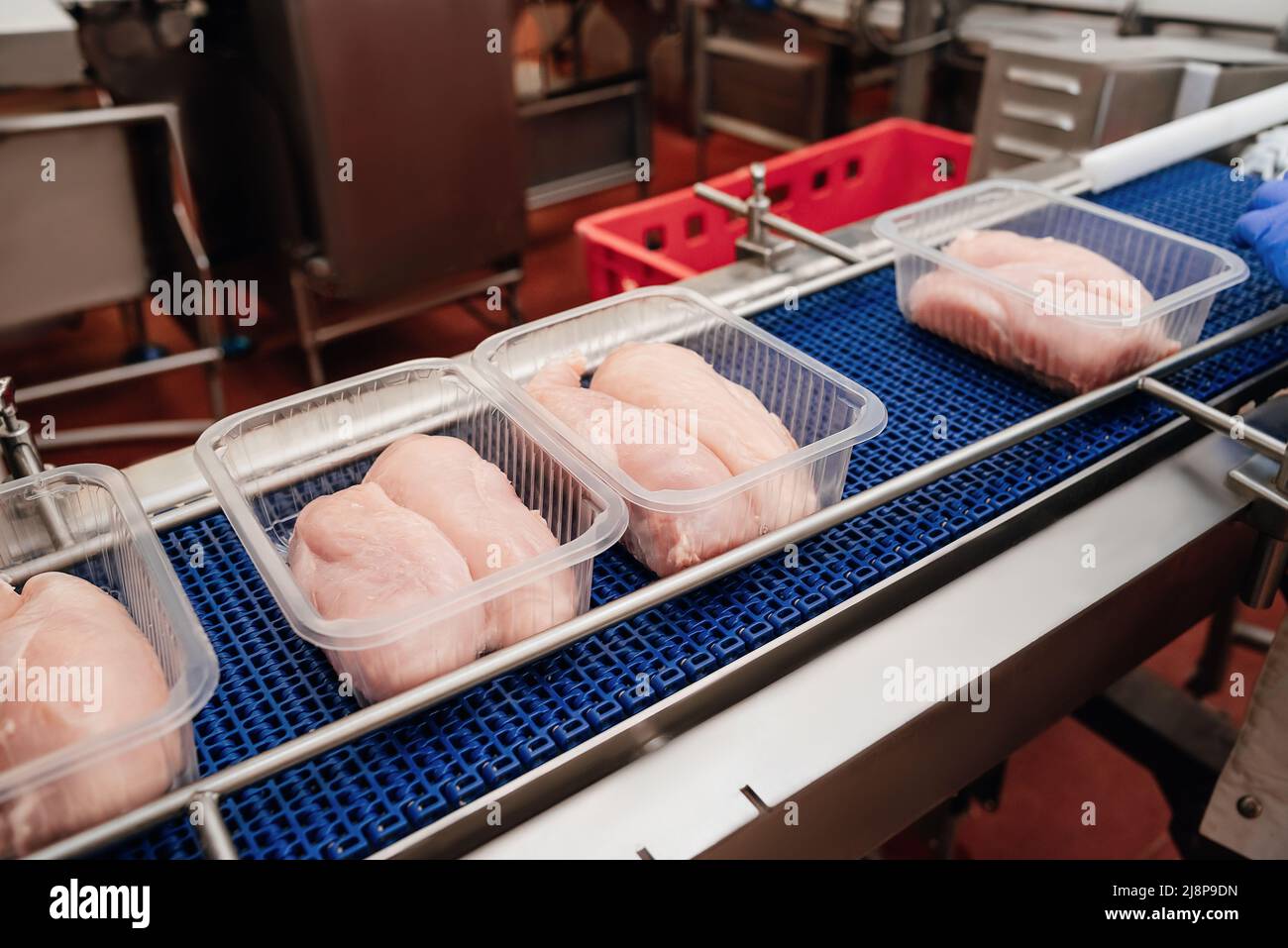 Modern poultry processing plant.A modern plant.Factory production food ...