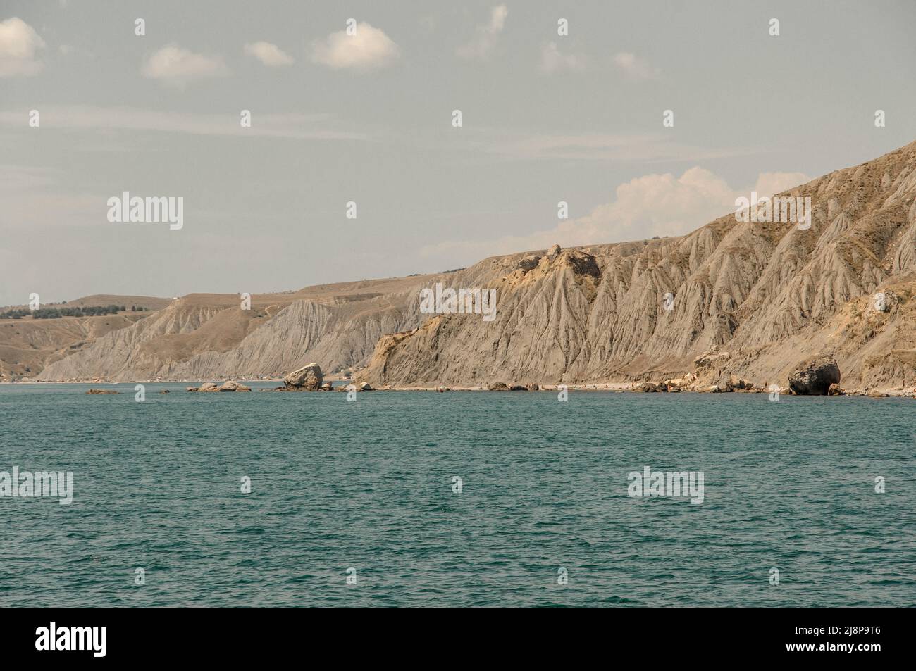 Blue black fox hi-res stock photography and images - Alamy