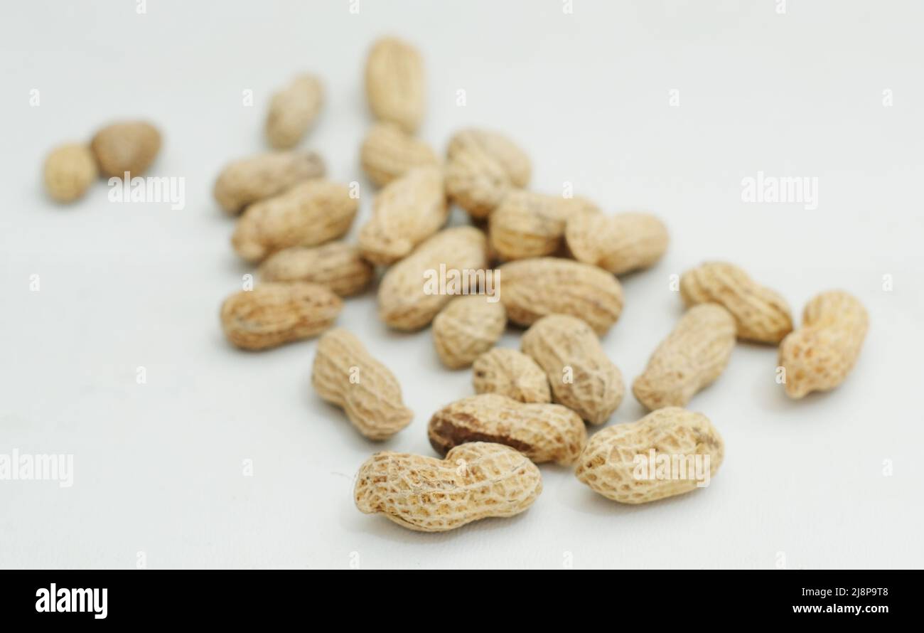 Dried peanut - Dried peanut in shell on white background. Peanut pod or ...