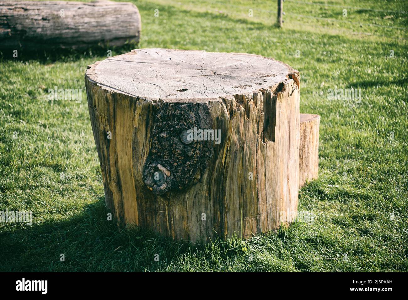 Log of wood isolated on lush grass. . High quality photo Stock Photo ...