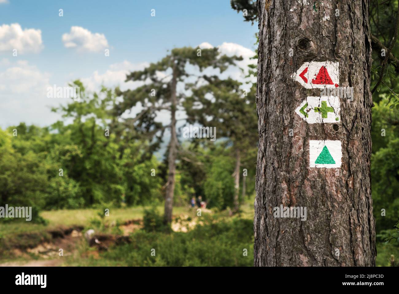 Trek sign on a tree trunk in the forest Stock Photo - Alamy