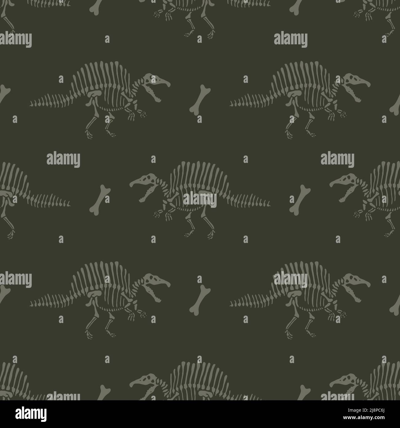 Hand drawn spinosaurus dinosaur fossil seamless vector pattern. Gender ...