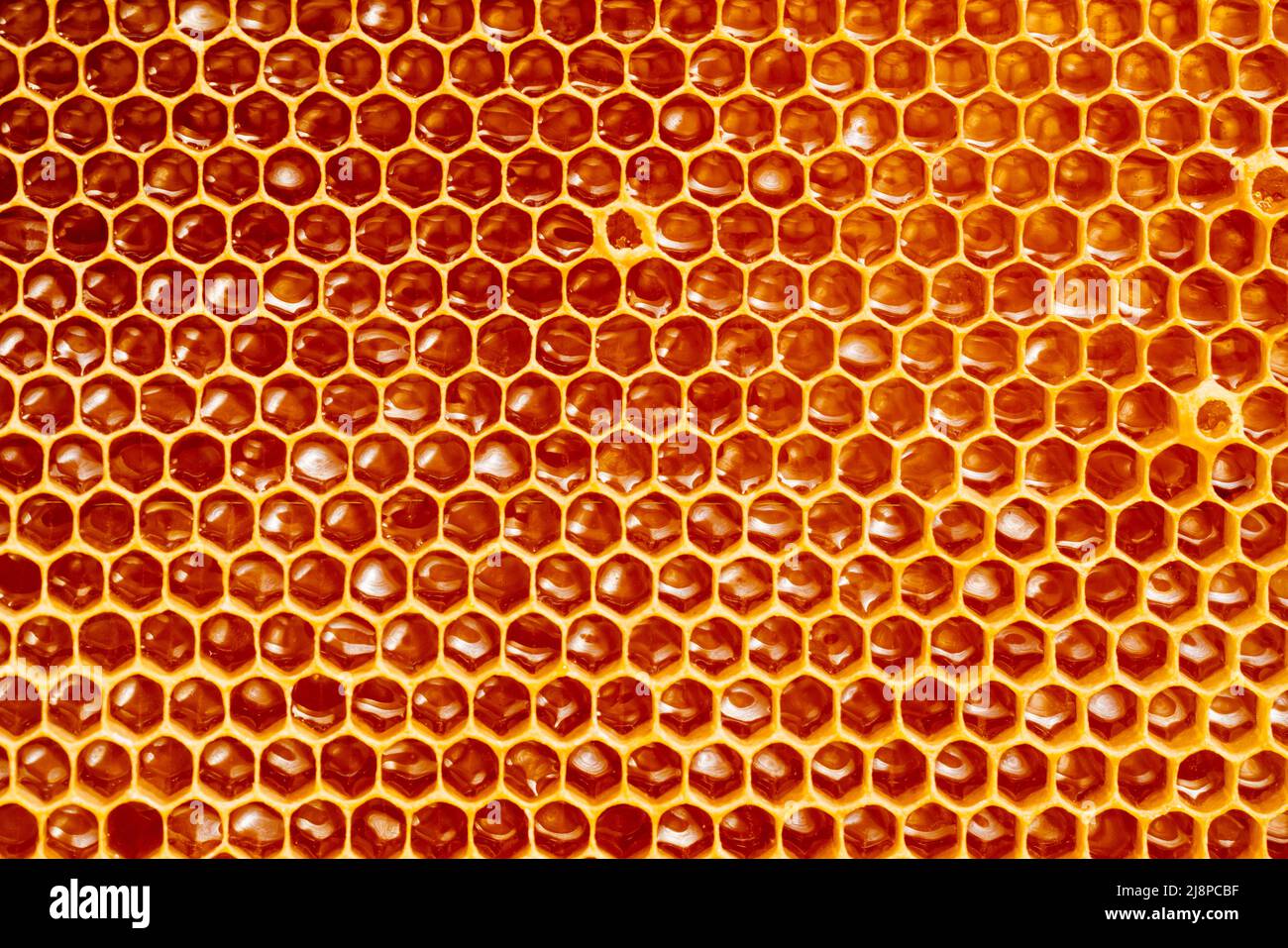 natural honey comb background or texture Stock Photo - Alamy