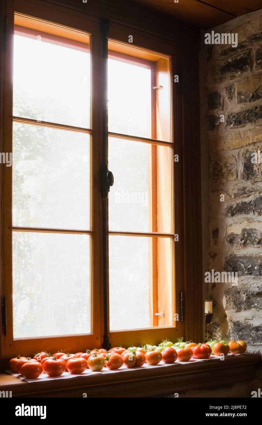 Tomatoes on windowsill of glass pane window in kitchen inside old circa ...