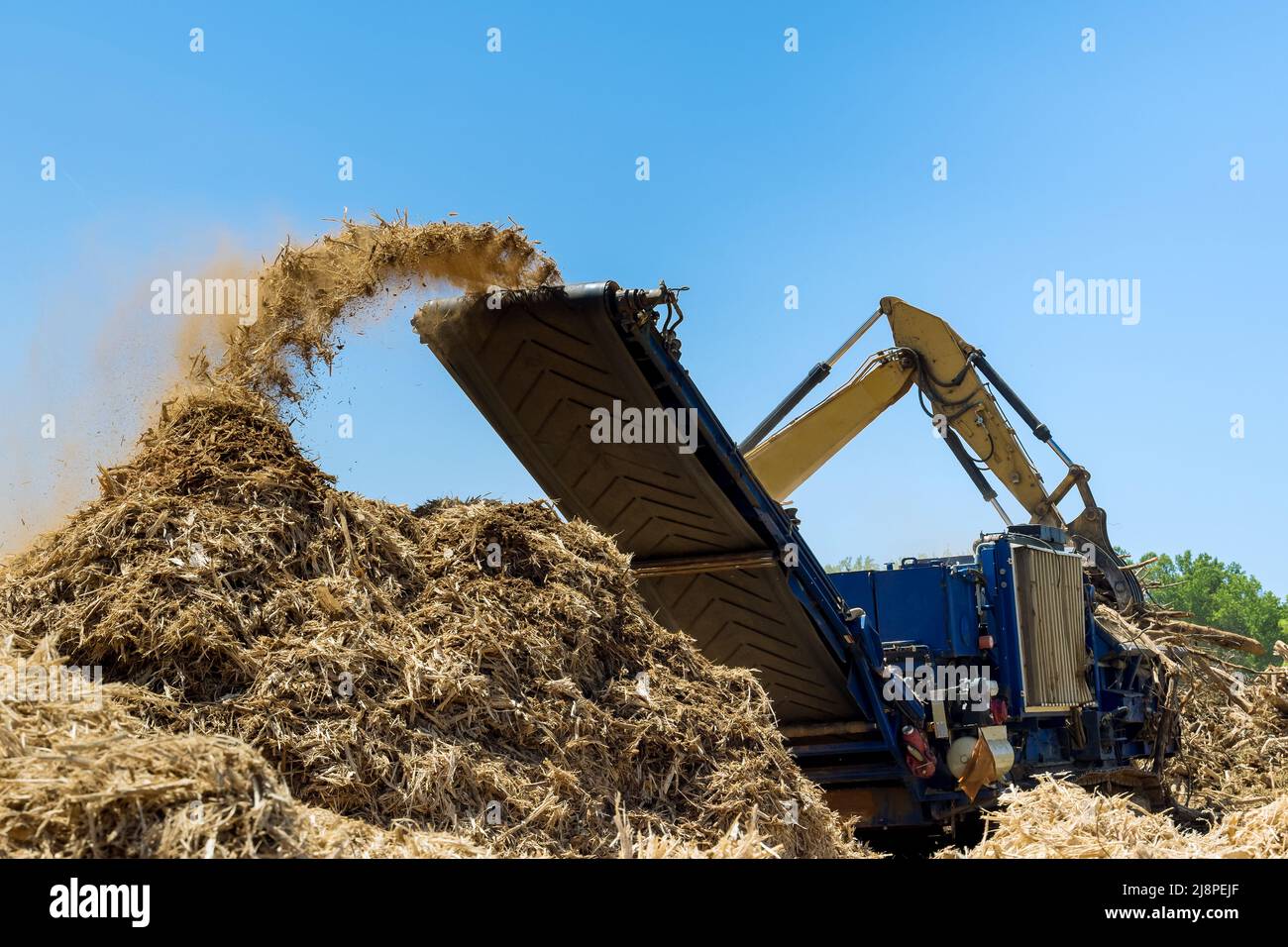 Work conveyor of an industrial wood shredder producing wood chips from ...