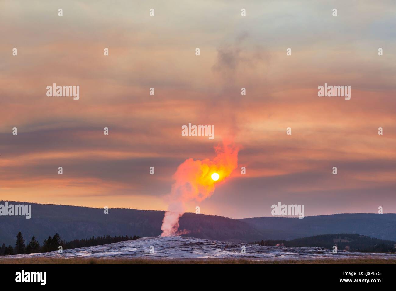 Old Faithful geyser eruption in Yellowstone National Park, USA Stock ...