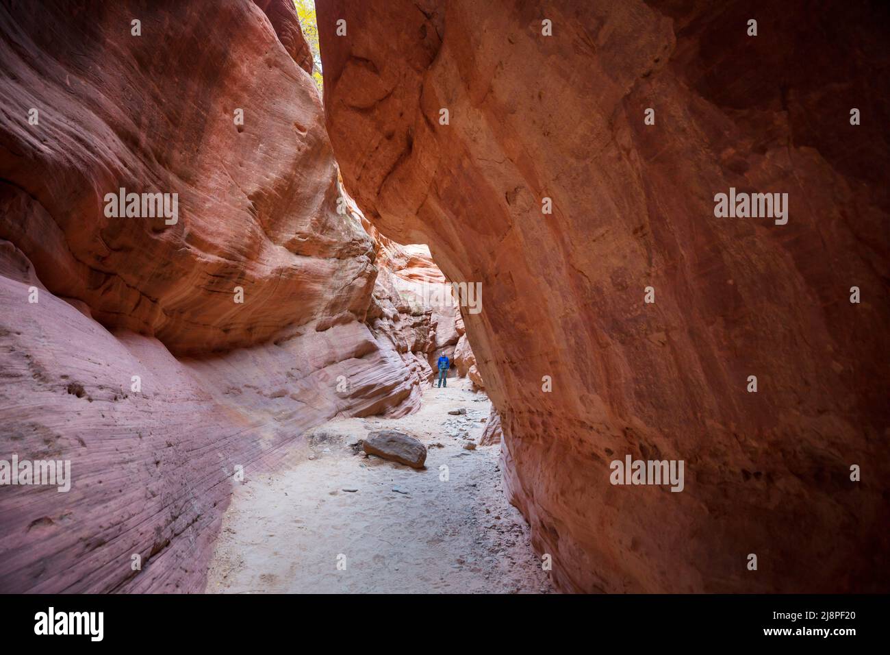 Slot canyon in Grand Staircase Escalante National park, Utah, USA ...