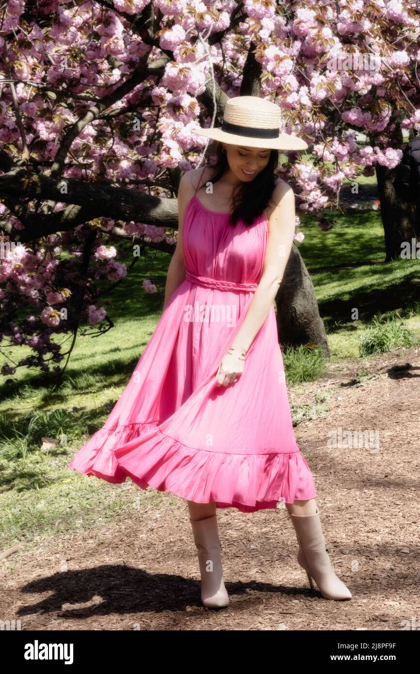 A stylish young lady models spring fashion among the blooming Kwanzan ...