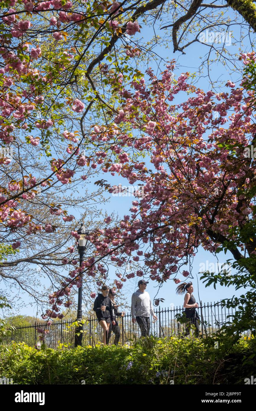 The Stephanie and Fred Shuman Running Track in Central Park is ...