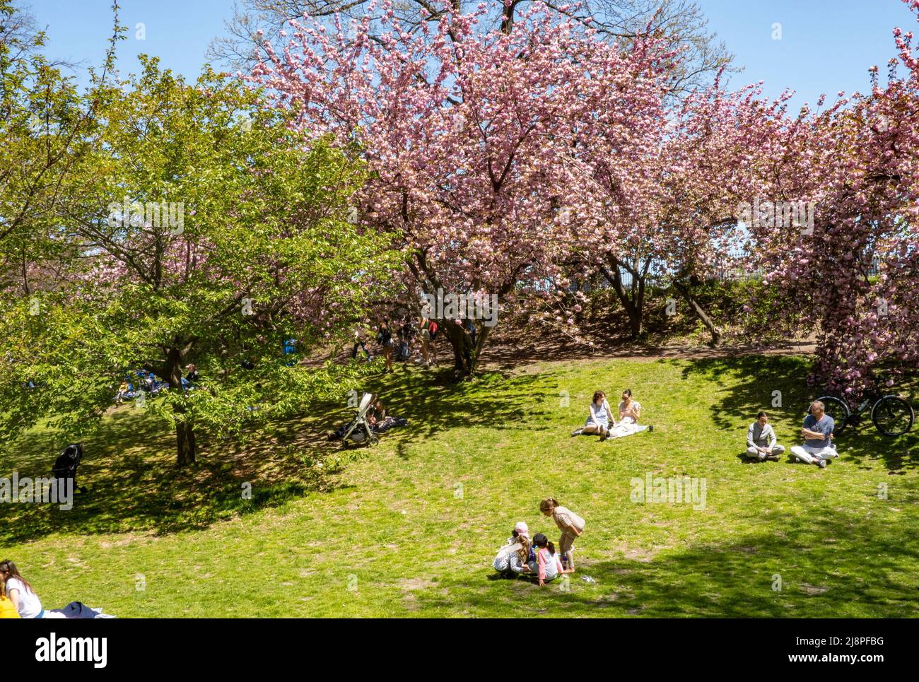 Central Park is a beautiful urban oasis in the springtime, New York ...