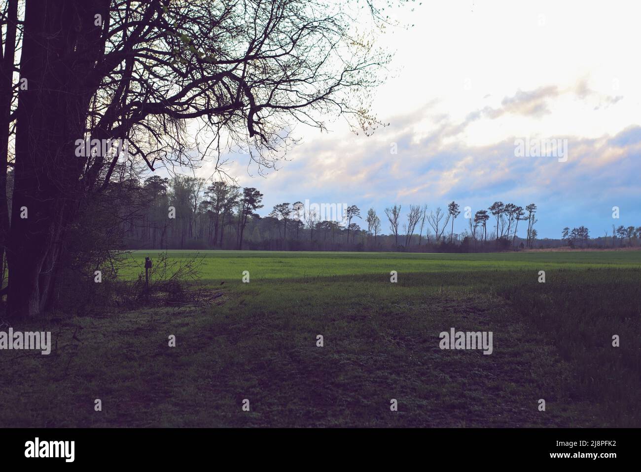 Historic treeline hi-res stock photography and images - Alamy