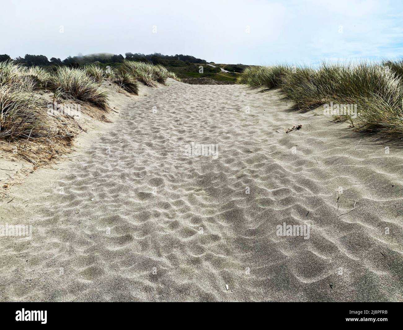Beach sand dunes california hi-res stock photography and images - Alamy