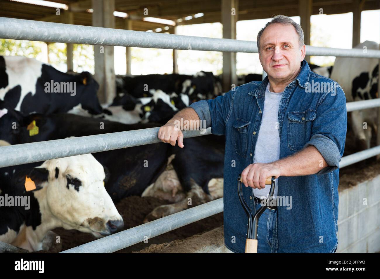 Smiling dairy farm male hi-res stock photography and images - Alamy