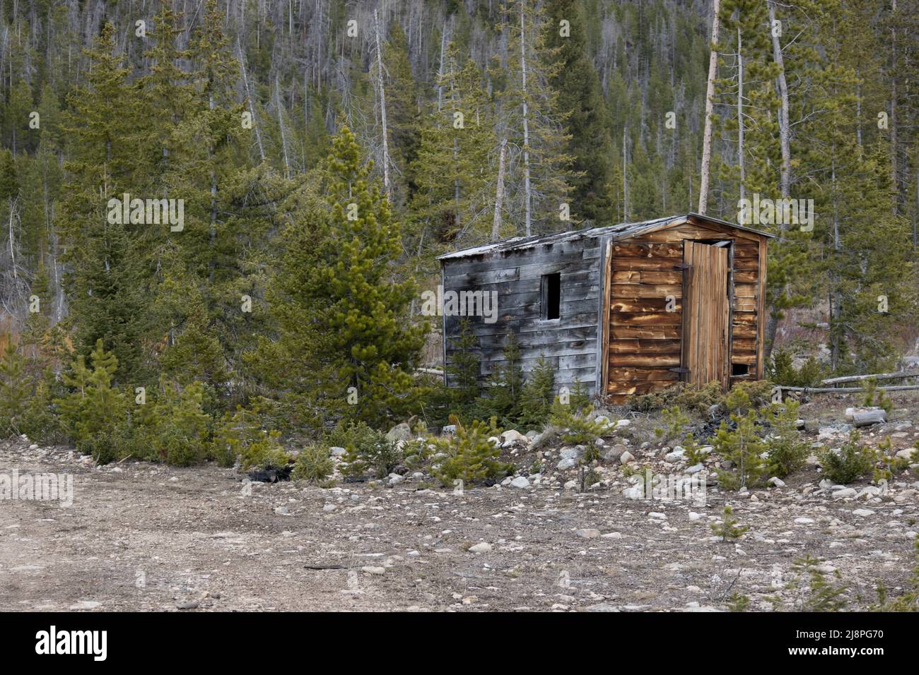 A small mining cabin sits int he woods in the Rocky Mountains of ...
