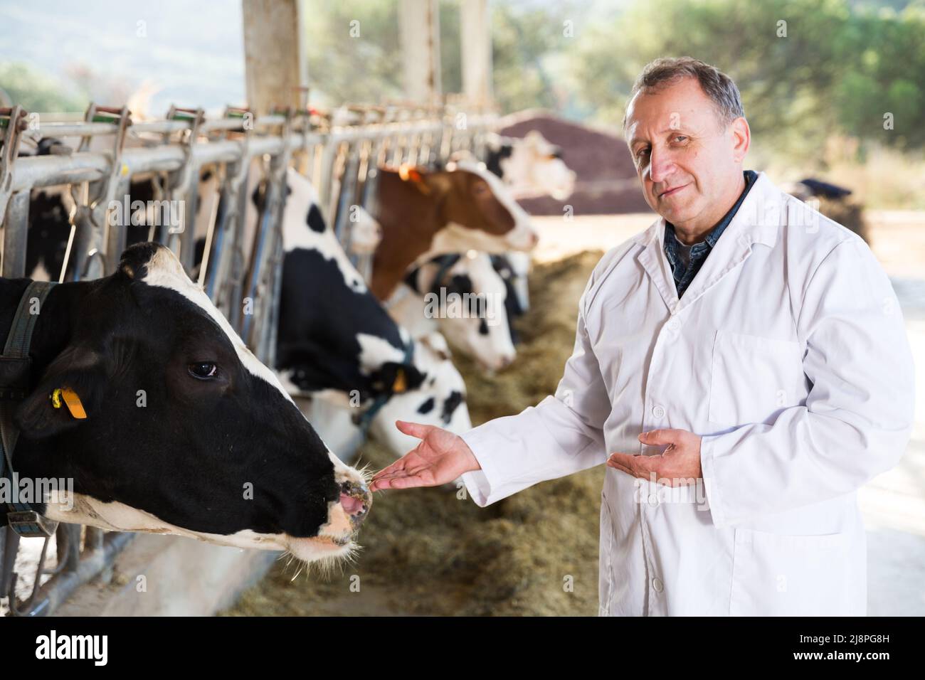 Male quality expert is standing in uniform Stock Photo - Alamy